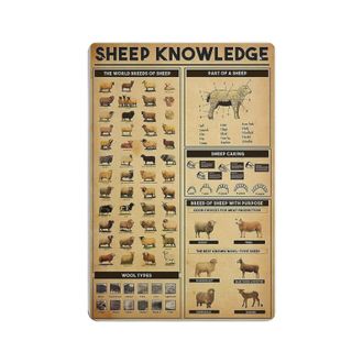 Generic Metall Wandschild, Retro Wanddeko, Schafe, Wissen, Fr&uuml;her, Metallschild F&uuml;r Bar Deko Garten, 20X30Cm