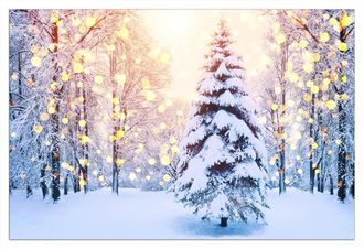 Wallario selbstklebendes Poster - Winterzauber im Lichterglanz, Aufkleber in Premiumqualit&auml;t, Klebefolie Gr&ouml;&szlig;e: 61 x 91,5 cm (Maxiposter)