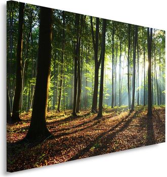 Feeby Frames Feeby, Leinwandbild, Bilder, Wand Bild, Wandbilder, Kunstdruck 80x120cm, Wald, Baum, Landschaft, Natur, GRÜN