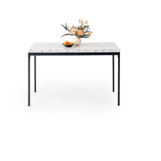 Furniture R HOMYLIN Esstisch, 120 cm, Marmor-Wei&szlig;, Tisch-Effekt, K&uuml;chentisch, rechteckiger Schreibtisch f&uuml;r Konferenzraum, K&uuml;che, Restaurant, Apartment, Wei&szlig;
