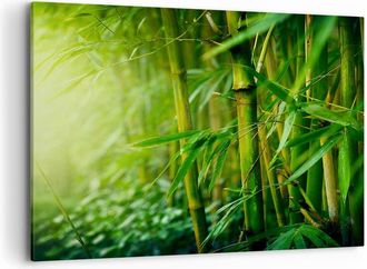 Arttor Wandbilder Dekoration Wohnzimmer Bambus Pflanze Bilder auf Leinwand 120x80cm Leinwandbild mit Rahmen Schlafzimmer Küche Deko Wand Kunstdruck Art Groß 