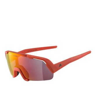 Alpina unisex, Accessories, Mehrfarbig, ONE SIZEGr&ouml;&szlig;e