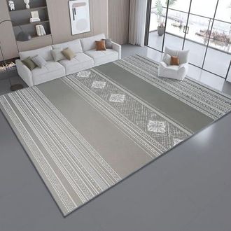 Generic Tapis &agrave; Poils Courts Gris argent&eacute; pour Chambre et Salon, Design Boh&egrave;me Lignes &Eacute;l&eacute;gant, Antid&eacute;rapant et Lavable en Machine, Tapis D&eacute;coratif pour Entr&eacute;e