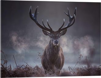 Posterlounge Ein majestätischer Rotwildhirsch atmet in der Winterluft aus Acrylglasbild von Alex Saberi 18 x 13 cm Grau Wandbilder Wanddeko