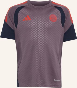 adidas Fc Bayern M&uuml;nchen 26/27 Cup Kids Trainingstrikot lila