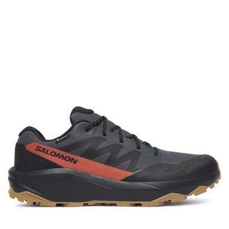 Salomon Trekkingschuhe Salomon Outscape Gtx GORE-TEX L49233000 Grau