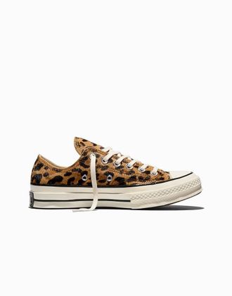 Converse Chuck 70 Sneaker mit Leopardenmuster aus Ponyhaar in Braun/Honig/Cremewei&szlig;