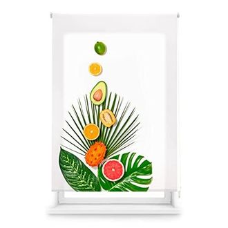 Blindecor Tropic, Digital-Rollo, lichtdurchlässig, Bedruckt, 150 x 180 cm (Breite x Höhe)