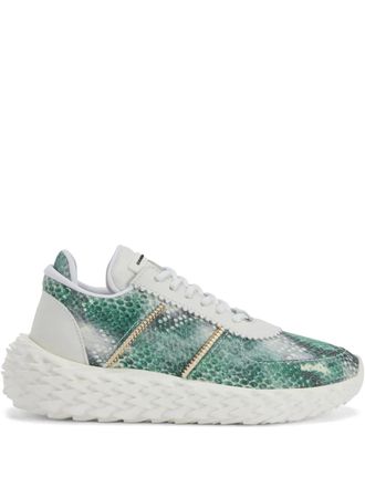 Giuseppe Zanotti baskets Urchin - Vert