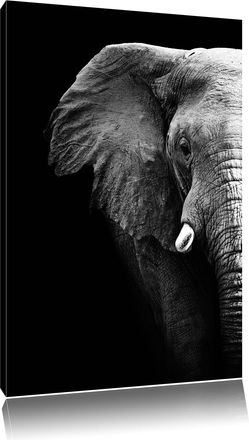 Pixxprint Elefant Porträt, Größe: 120x80cm, Leinwandbild, fertig gespannt, Wandbild, Dekoration, Kunstdruck, kein Poster