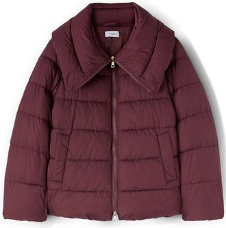 Motivi Femme, Vestes, Rouge, Taille: 46 FR Veste dhiver épaisse en duvet avec col montant