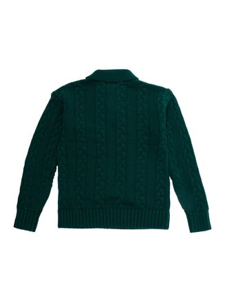 Polo Ralph Lauren Boys Pullover Sweater Green Cotton-Wool Hoods & Sweatshirts