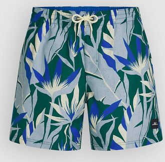 O'Neill Print 16 Boardshorts blue tropicana big