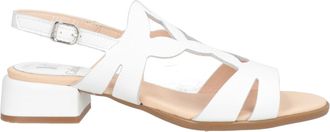 Callaghan ADAPTACTION