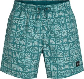 O'Neill Badeshorts