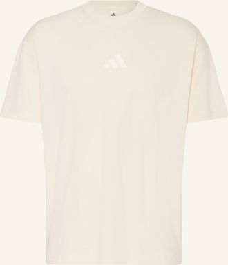 ADIDAS TERREX Adidas Terrex T-Shirt Terrex Multi Tee Meadow Pack beige