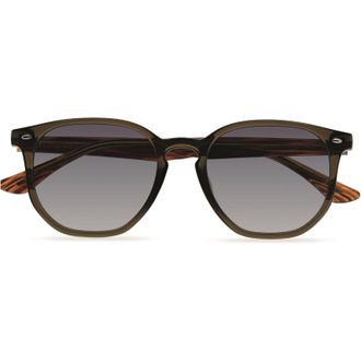 Ted Baker Sonnenbrille TB1655 949 52