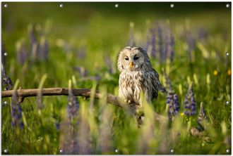 Wallario Outdoor-Poster f&uuml;r Garten oder Balkon Kauz im Bl&uuml;tenmeer, Motivbanner Gr&ouml;&szlig;e: ca. 120 x 180 cm, Outdoor-Bild