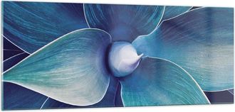 Arttor Panorama Bilder auf Glas 100x40cm Glasbild Agave Blau Blume Gro&szlig; Wanddeko Bild im Glas Schlafzimmer K&uuml;che Wandbilder Dekoration Wohnzimmer Modern Wall