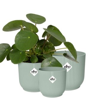 ELHO Vibes Fold Rund Pflanzentopfe - Blumentopfe f&uuml;r Innen - 100% recyceltes Plastik - 3er Set - &Oslash; 14, 16, 18 cm - Gr&uuml;n/Sorbet Gr&uuml;n