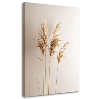 Feeby Wandbild - Wohnzimmer Modern Deko - Pampasgraspflanzen Natur Beige - 40x60 1tlg - Bilder Leinwand - Bild auf Leinwand Schlafzimmer - Leinwandbilder f&uuml;