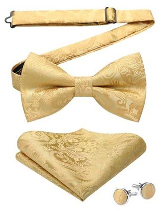 Hisdern Noeud Papillon Homme Or Paisley Noeuds Papillon avec Mouchoir de Manchette Boutons Ensemble Pr&eacute;-nou&eacute; Noue Papillon pour Mariage Fete