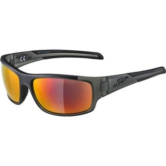 Alpina Brille TESTIDO