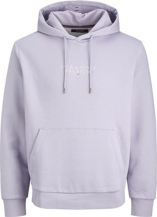 Jack & Jones Jprbluarchie Sweat Hood Noos