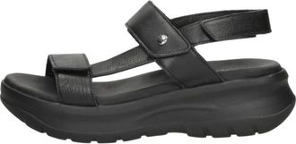 Panama Jack Femme, Chaussures, Noir, Taille: 41 EU Sandales Noor