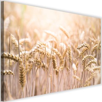 Feeby Leinwandbild XXL Weizen Wandbild Kunst Landschaft Natur Beige 120x80 cm