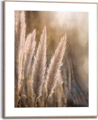 Reinders Gerahmtes Bild, Pampas, Home Office, Bilder, Wanddeko, Room Decor, MDF, Beige, 50 x 40cm