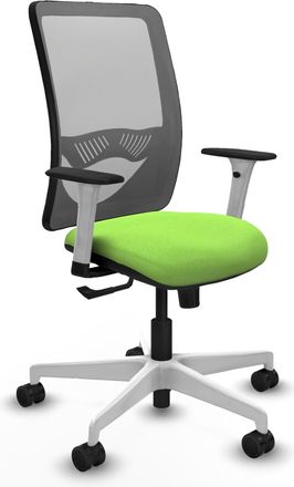 Piqueras y Crespo Schreibtischstuhl, verstellbare Armlehne, h&ouml;henverstellbare Lendenwirbelst&uuml;tze, ausgestattet mit 3 Positionen und Schneideschaum, Grau/Pistazie