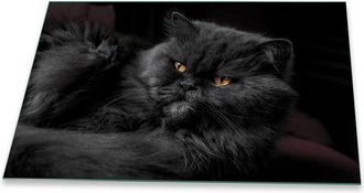 Decorwelt Herdabdeckplatte Abdeckung Ceranfeld Abdeckplatte Schneidebrett 1-Teilig 80x52 Katze Schwarz Spritzschutz Glasplatte Ceranfeldabdeckung Schutz Kochpla