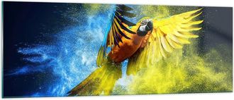 Arttor Panorama Bilder auf Glas Papagei Vogel Feder Glasbild 140x50cm Wandbilder Dekoration Wohnzimmer Schlafzimmer K&uuml;che Gro&szlig; XXL Wanddeko Bild im Glas Wand