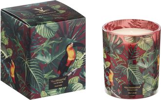 Vila Hermanos Wild Musk Duftkerze - Sinnlicher Naturduft mit Orangenblüte, Moschus & Ylang-Ylang - Exotisch & erdig - ca. 45h Brenndauer - Geschenkidee - Handgegoss
