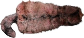 Dolce & Gabbana Femme, Accessoires, Rose, Taille: ONE Size Frost Fox Fur Neck Warmer Winter Scarf