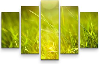 Paul Sinus Art Naturfotografie - Grashalme148 teiliges Wandbild auf Leinwand (Gesamtma&szlig;: 150x100cm)
