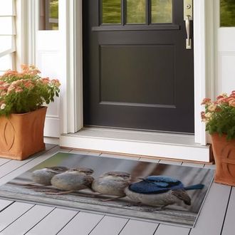 Generic Tapis Couloir Long Oiseaux imprim&eacute;s Dessins anim&eacute;s Tapis Cuisine Devant Evier Antid&eacute;rapant Absorbant Tapis Int&eacute;rieur Entr&eacute;e Long 60x150 cm de Passage 