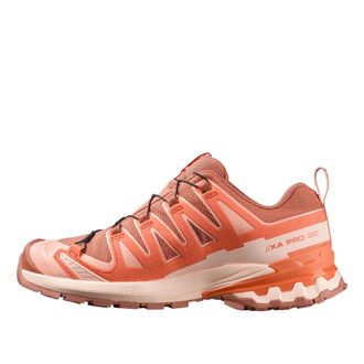Salomon Femme, Sport, Brun, Taille: 36 2/3 EU XA PRO 3D V9 GTX