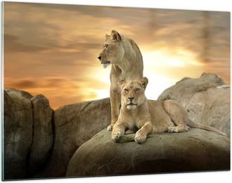 Arttor Wandbilder Dekoration Wohnzimmer Löwen Sonnenuntergang Felsen Krallen Bilder auf Glas 120x80cm Glasbild Schlafzimmer Küche Deko Wand Kunstdruck Art Gr