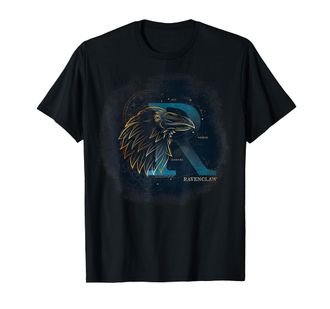 Harry Potter Celestial Nomad Ravenclaw T-Shirt