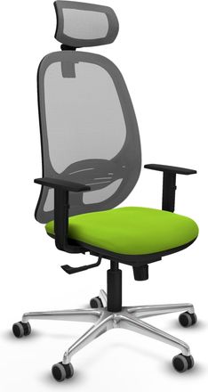 Piqueras y Crespo B&uuml;ro-B&uuml;rostuhl mit 1D-Armen, h&ouml;henverstellbare Lendenwirbelst&uuml;tze und Kopfteil, h&ouml;henverstellbar und neigbar, Grau/Pistazie