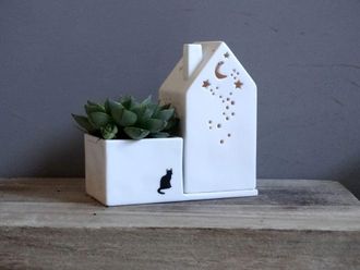 Good old Friends Hausgarten Katze