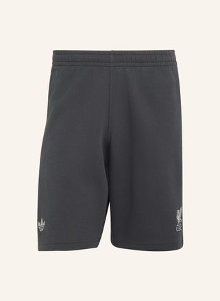 adidas Originals Adidas Originals Fc Liverpool 26/27 Originals Teamgeist 26 Shorts grau
