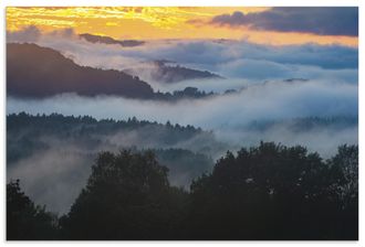 Artland ARTland Wanddeko Wandbild Alu Verbundplatte für Innen & Outdoor Bild 60x40 cm Landschaften Wald Bäume Nebel Herbst Sonnenuntergang Bayern U4TN