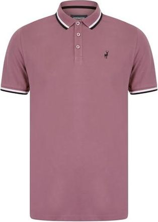 Kensington Eastside Underwood 2 Cotton Pique Polo Shirt in Grapeade - Kensington Eastside - L