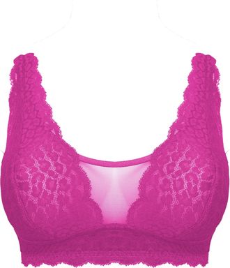 SugarShape BH Elva