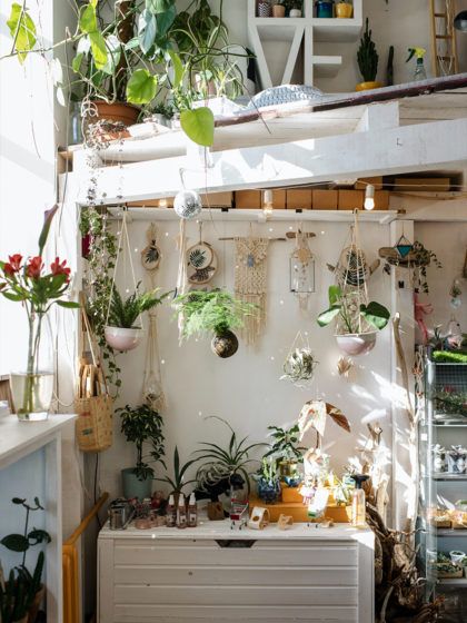 Vous adorez les plantes ? Voici comment les disposer dans votre décoration