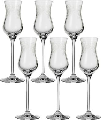 Leonardo Leonardo Chateau Grappa-Glas, Schnaps-Glas mit gezogenem Stiel, sp&uuml;lmaschinenfeste Digestif-Gl&auml;ser, 6er Set, 9 cl, 061594