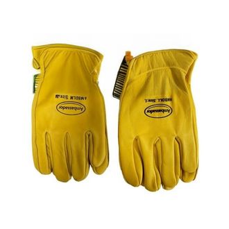 Ambassador L ST12996